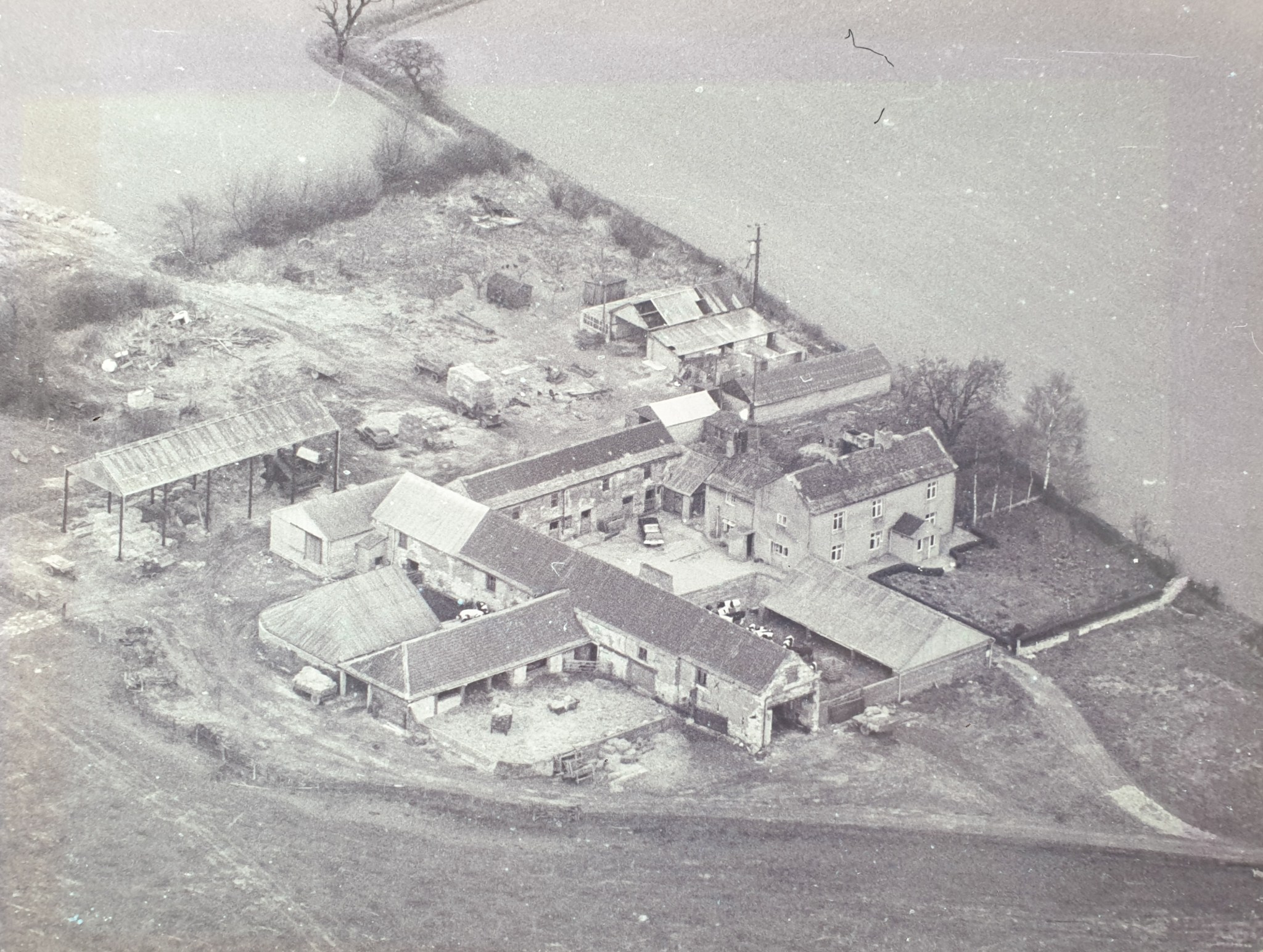 Park House Farm – Sadie in the Saddle